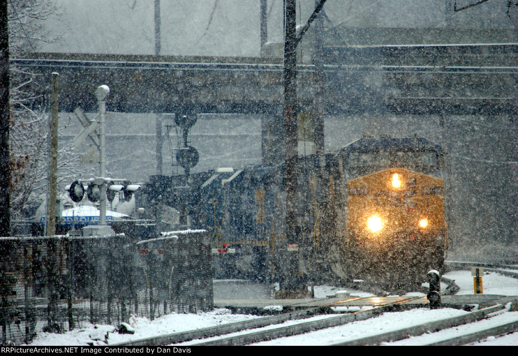 Beasty Q418-11 in the Snow